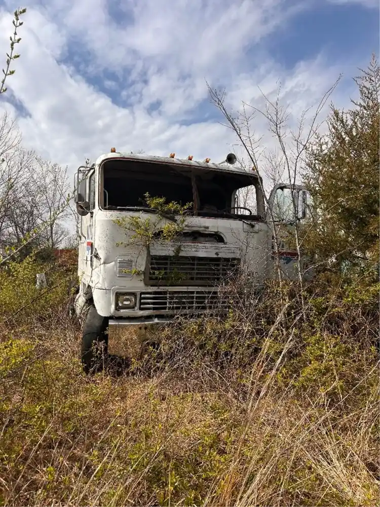 Salvage 1970 International Cabover Cab For Parts | Perryville, Missouri ...