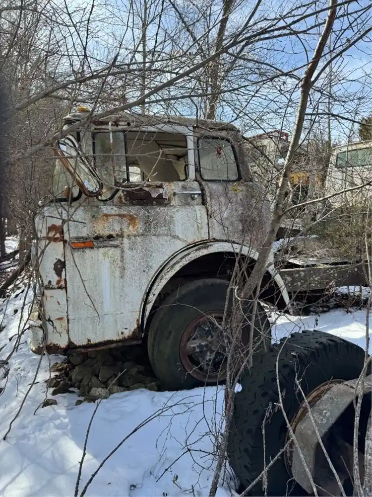 Salvage 1973 Ford F600 Cabover For Parts | Perryville, Missouri, United ...