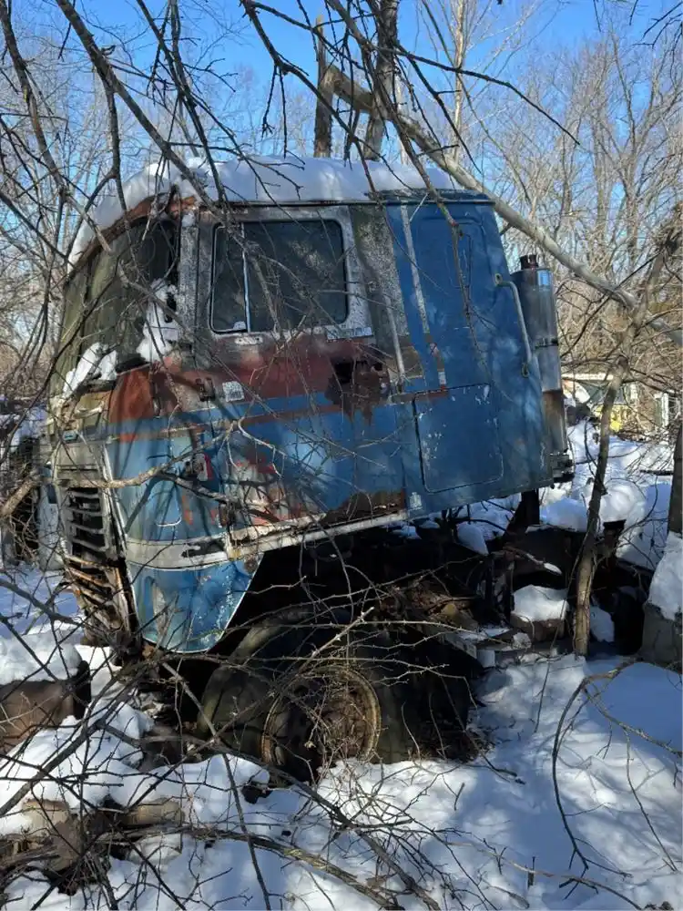 Salvage 1978 International Cabover Cabover For Parts | Perryville ...