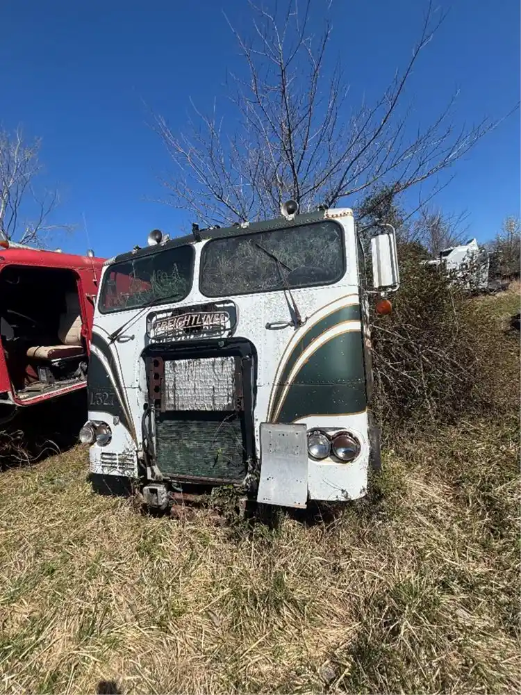 Salvage 2000 Freightliner Cascadia Cabover For Parts | Perryville ...