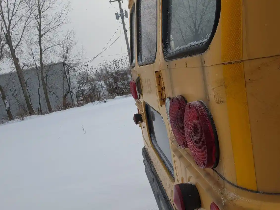 Salvage 1999 Freightliner FS65 Chassis Bus For Parts | Depew, New York ...