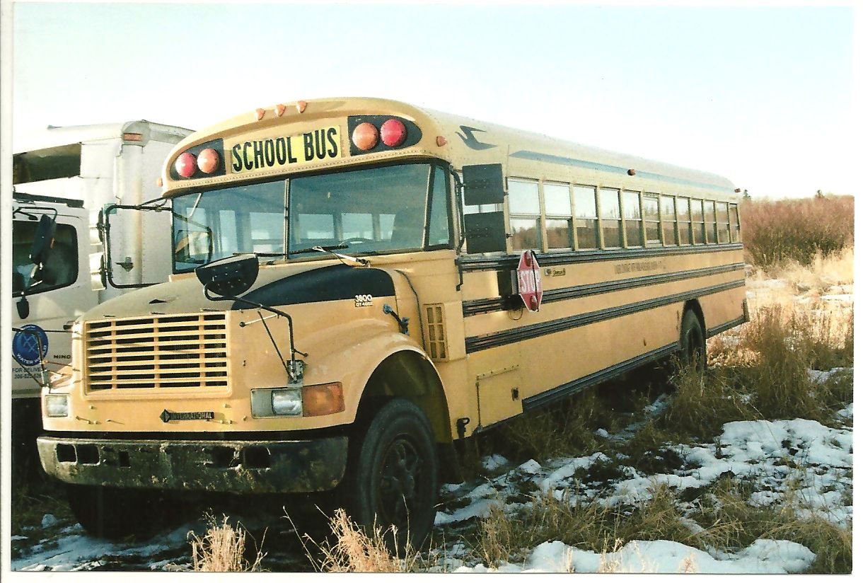 Salvage 1999 International 3000 series (bus) SCHOOL BUS For Parts ...