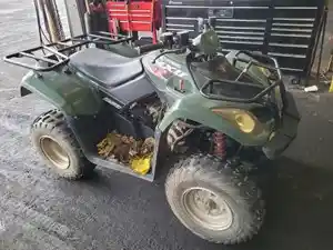 KYMCO Mongoose 250 Semi Trucks For Sale | 18-Wheeler Trucks | TPI